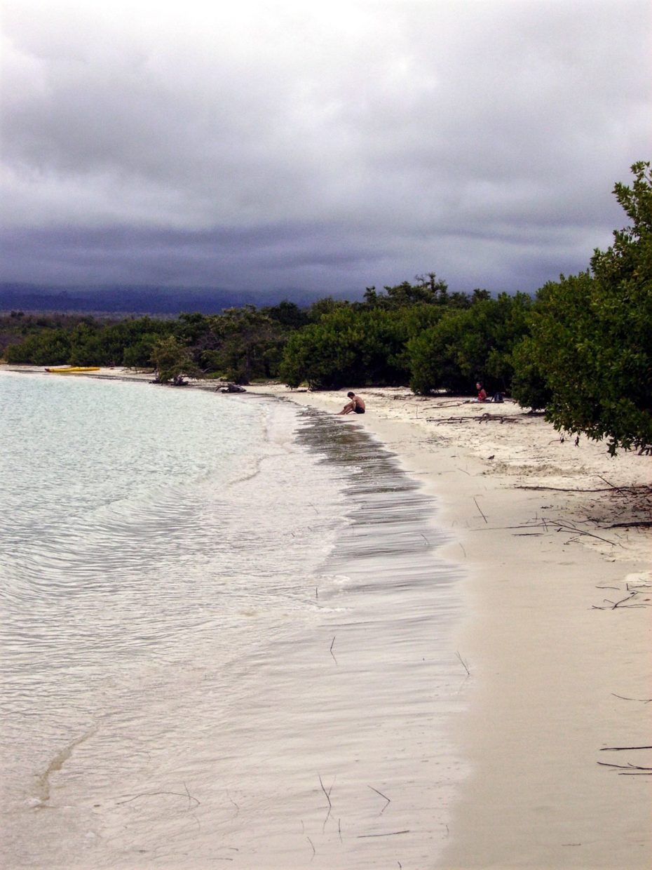 Best places to explore in, or near, the Galapagos - Academy Bay Diving